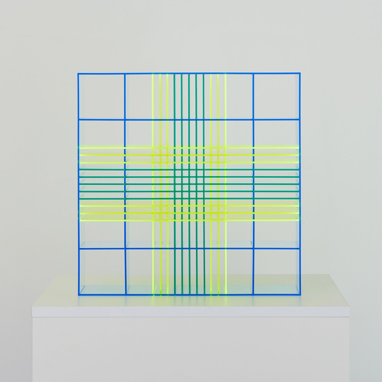 016 Picnic – Fluorescence by Lisa Gorman